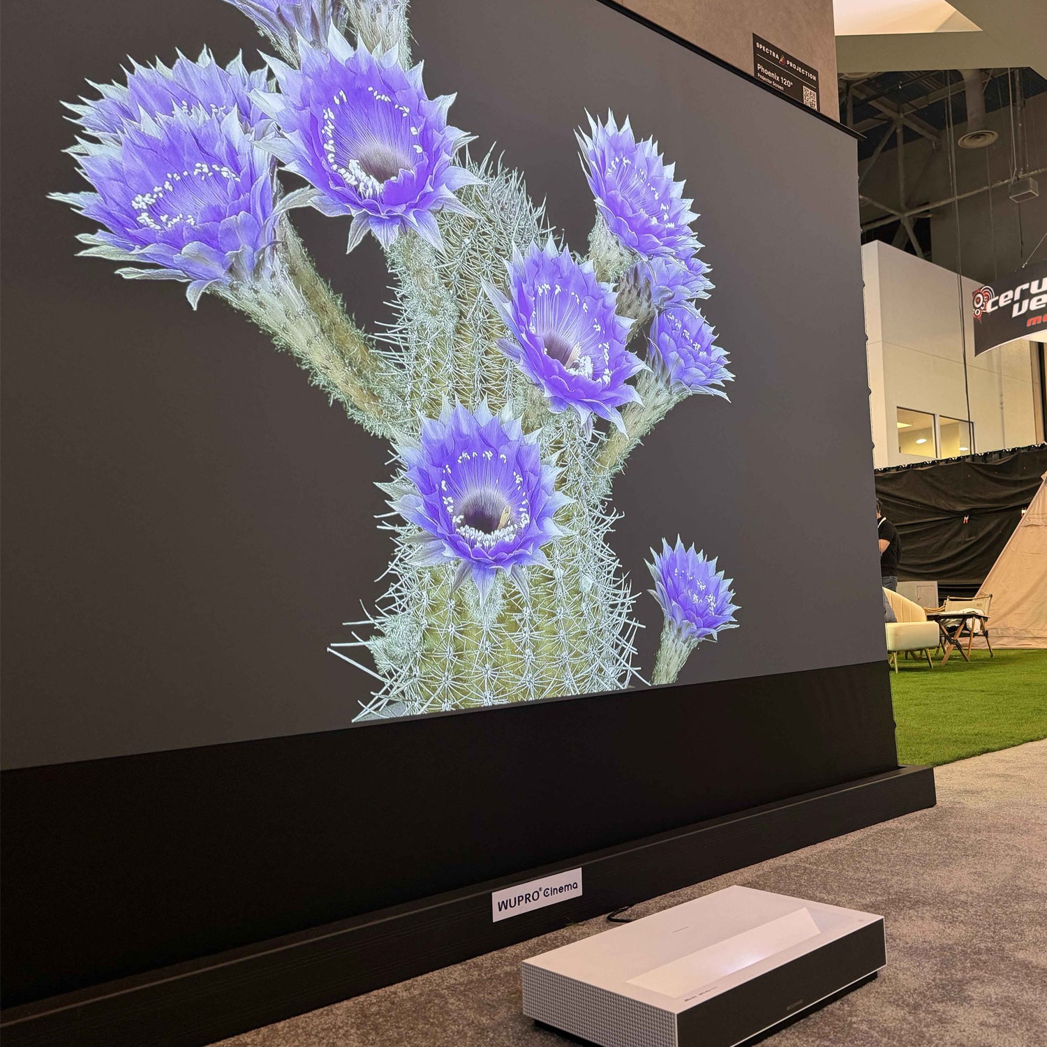 Why choose Wupro Cinema Motorized Floor Rising Screen?